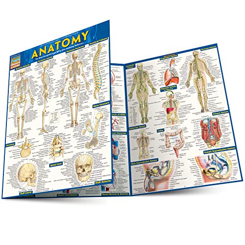 Anatomy - Reference Guide: a QuickStudy reference tool (Quickstudy ...