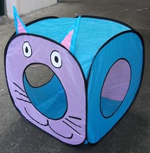 Big Cat Fun Cube - Pop Up Play Cube for Larger Cats: Amazon.co.uk: Pet ...