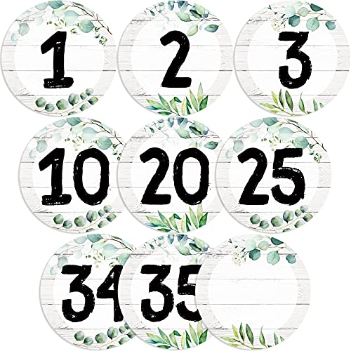 40 Pieces Eucalyptus Laminated Student Numbers Classroom Decorations ...