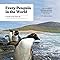 Every Penguin in the World: A Quest to See Them All: Bergman, Charles ...