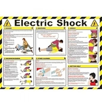 SIGNSLAB FA551 Health And Safety Electric Shock Poster, 420 mm x 590 mm ...