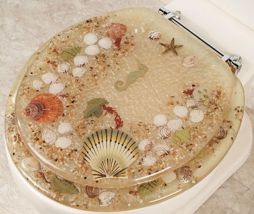 Decorative Acrylic Toilet Seats