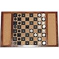 Amazon.com: The Braille Store Classic Chess Set for blind and sighted ...