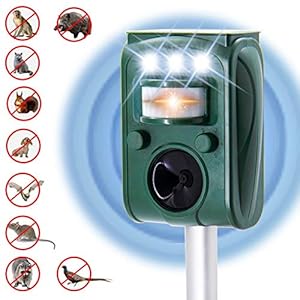 What Is The Best Rabbit Repellent For My Garden?