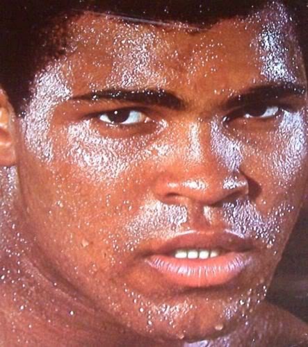 Muhammad Ali: A Portrait in Words and Photographs: Sheed, Wilfrid ...