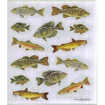 Amazon.com: Fish Stickers - 2 Sheets