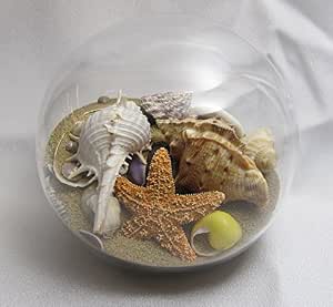 Amazon.com: Sand & Shell Sandglobe Paperweight 4-inch Off-white Sand ...