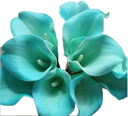 Amazon.com: Wedding Flower 20pcs Teal Blue Calla Lily Bouquet Real ...