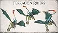 Amazon.com: Seraphon: Terradon/Ripperdactyl Riders: Toys & Games