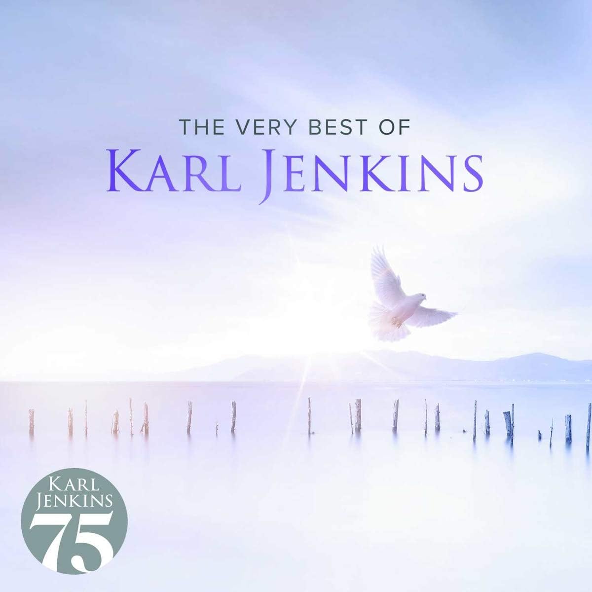 The Very Best Of Karl Jenkins: Amazon.co.uk: Music