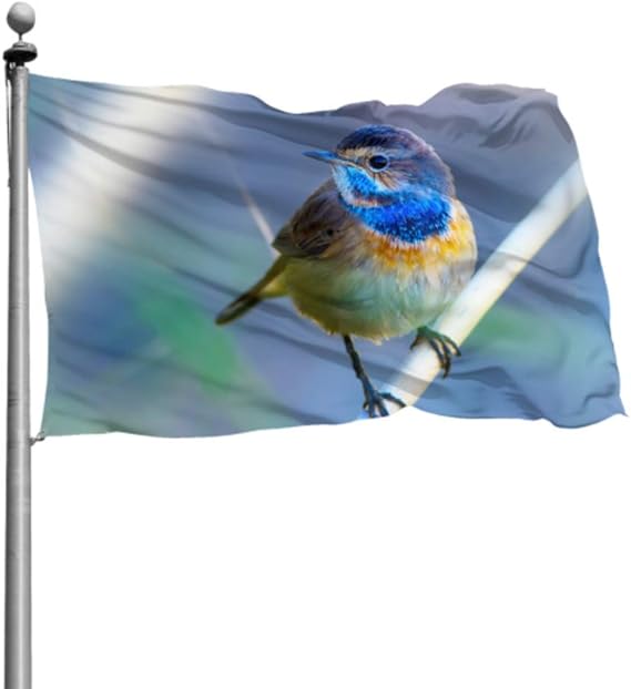ZHANGhome Bandera Hombres Adultos Aves de Colores Brillantes Bandera ...