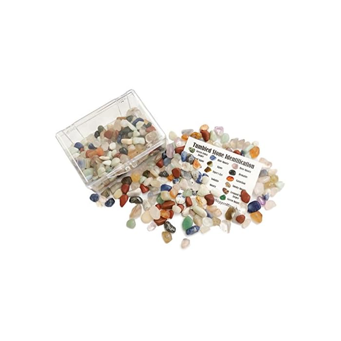 Buy Mini Tumbled Stone Collection Box with Identification Guide - Rock ...