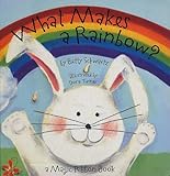 What Makes a Rainbow? Mini edition (A Magic Ribbon Book): Betty Ann ...