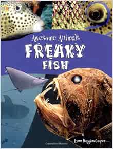 Freaky Fish (Awesome Animals): 9781845389437: Amazon.com: Books