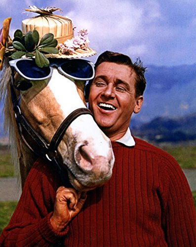 Mister Ed Theme Song Written by Ray Evans and Jay Livingston