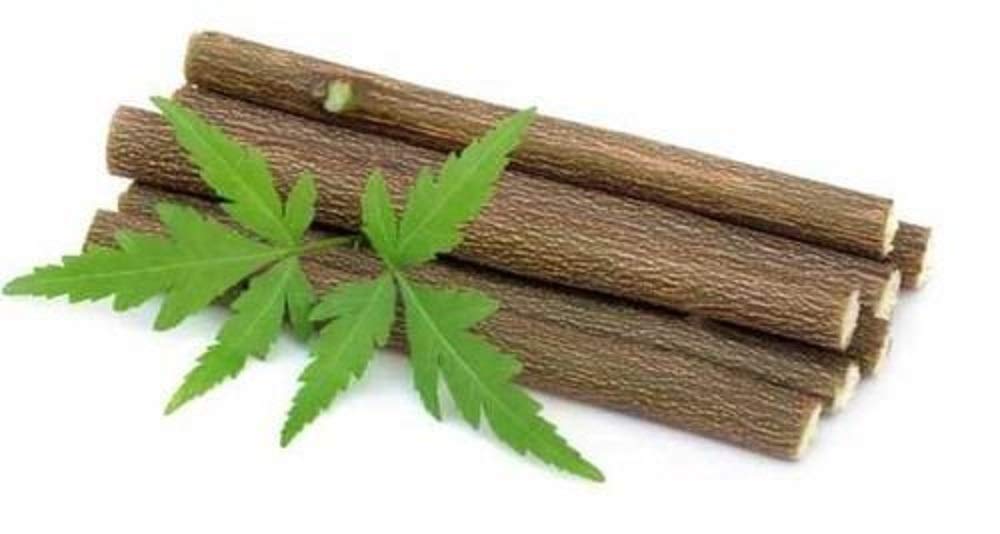 Buy Divine Count Neem Datun 10 sticks with free 5 Online at Low Prices ...