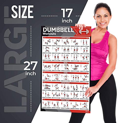 16-Pack Laminated Large Workout Poster Set - Perfect Workout Posters ...