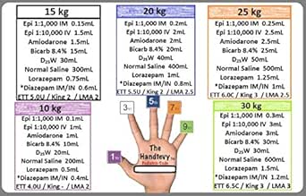 HandTevy Pedi Code Information Card - Badge Buddy (HanTev-H, Horizontal ...