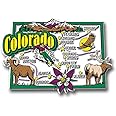 Amazon.com: Colorado Jumbo State Magnet by Classic Magnets, Collectible ...