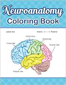 Neuroanatomy Coloring Book: Human Brain Student's Self-Test Coloring ...