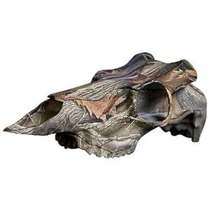 Amazon.com : Mountain Mike's Skull Master Dipped Deer Mounting Kit ...