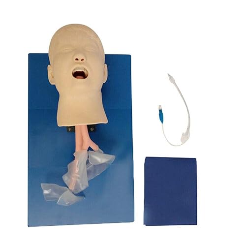 Intubation Model, Airway Management Trainer Intubation Manikin Oral ...