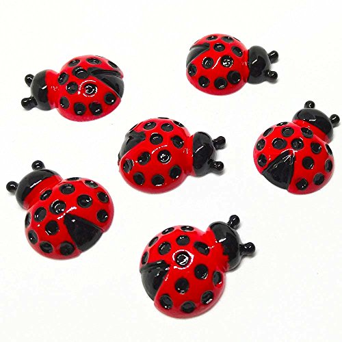 Ladybug Clear Slime Recipe with Contact Solution - Natural Beach Living