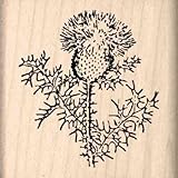 Amazon.com: P106 Thistle Flower Rubber Stamp: Arts, Crafts & Sewing