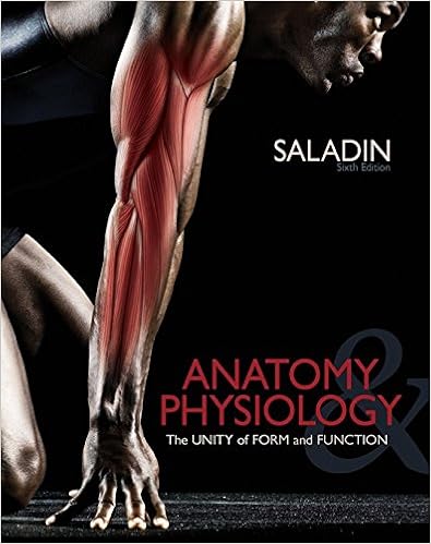 Anatomy & Physiology 6th | Available for download | Kenneth Saladin ...