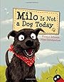Milo and the Mysterious Island: Marcus Pfister: 9780735841734: Amazon ...