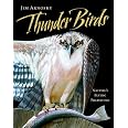 Thunder Birds: Nature’s Flying Predators: Arnosky, Jim: 9781402756610 ...