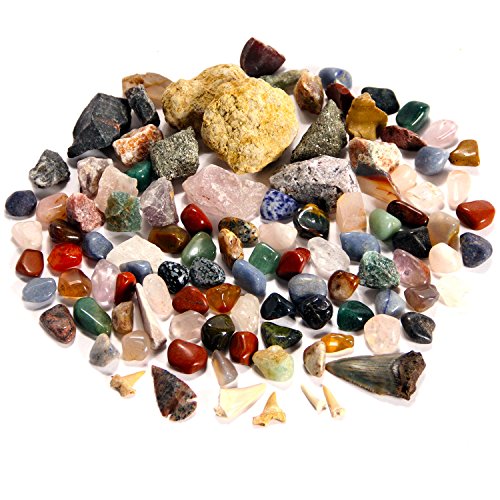 Best Rock Collection. Includes Huge Megalodon Shark Tooth, 2 Large ...