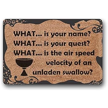 Amazon.com: Ruiyida Monty Python and The Holy Grail Entrance Floor Mat ...
