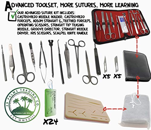Buy Suture Practice Kit with Suture Guide, High # of Sutures, Surgical ...