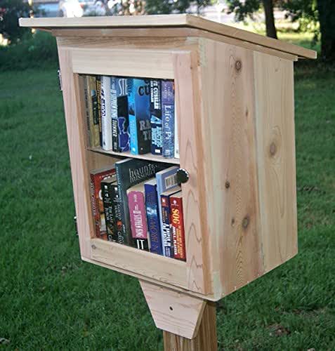 Amazon.com: Tiny Library, Fully Finished : Handmade Products