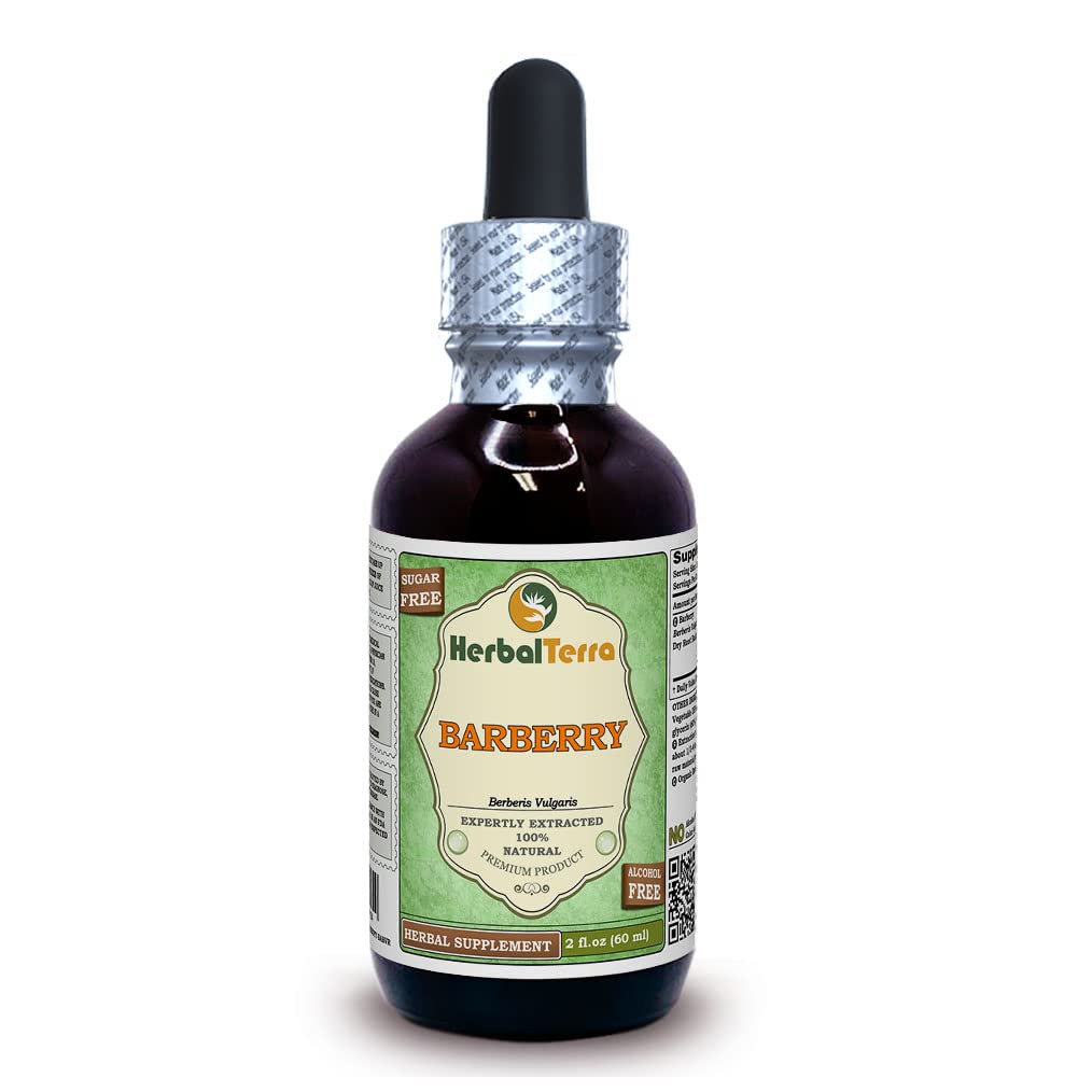 Mua Barberry (Berberis Vulgaris) Glycerite, Organic Dried Root Bark ...