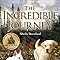 The Incredible Journey: Sheila Burnford: 9781443100182: Books - Amazon.ca