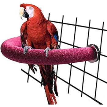 Amazon.com : Polly's Cozy Corner Bird Perch, Medium : Parrot Perch ...
