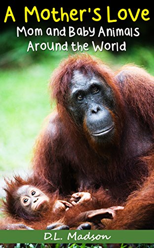 Facts and Phases of the Moon-Learning about the Moon | World's Biggest ...