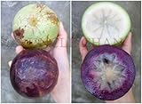 Star apple - How to grow & care