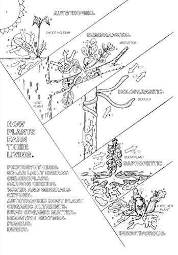 Botany Coloring Book Coloring Pages