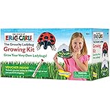 Amazon.com: Insect Lore Live Baby Ladybug Larvae - Ladybug Growing Kit ...