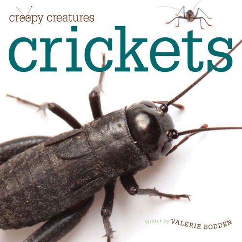 Creepy Creatures Crickets Bodden Valerie 9780898125665 Amazon