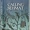 Calling Sehmat: A Novel: Harinder S. Sikka: 9788122007343: Books ...