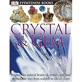 DK Eyewitness Books: Fossil: Taylor, Paul: 9780756606824: Amazon.com: Books