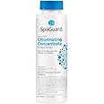 Amazon.com : SpaGuard Chlorinating Concentrate (14 oz) : Patio, Lawn ...