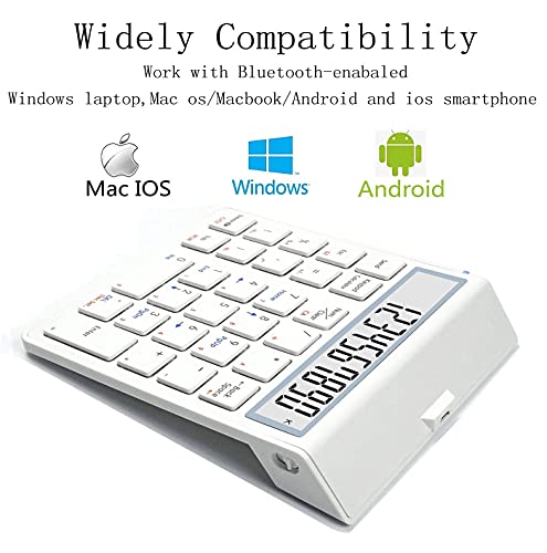 Sunreed 2 in 1 Wireless Numeric Keypad Calculator Numpad,Bluetooth ...