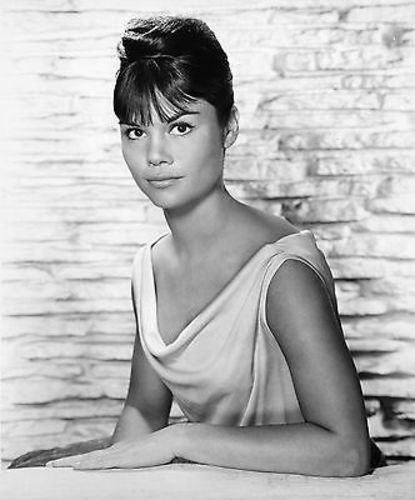 WENDE WAGNER SEXY 8X10 PHOTO #D1528 at Amazon's Entertainment ...