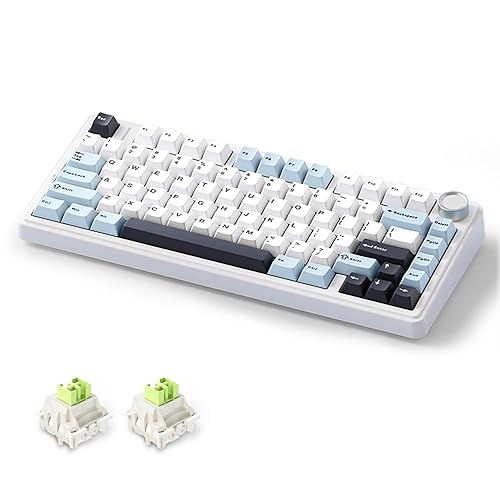 MOLGRIA x Aula F75 Gaming Keyboard, Triple Mode Connected 75% Light ...
