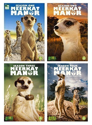 Amazon.com: Meerkat Manor - Complete First, Second, Third & Fourth ...